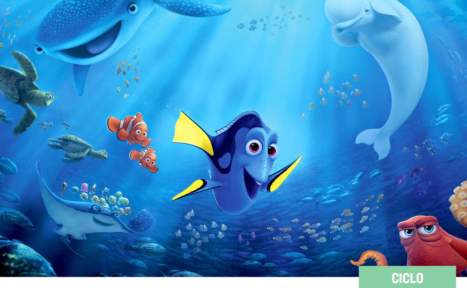 COAM - Cine infantil Buscando a Dory